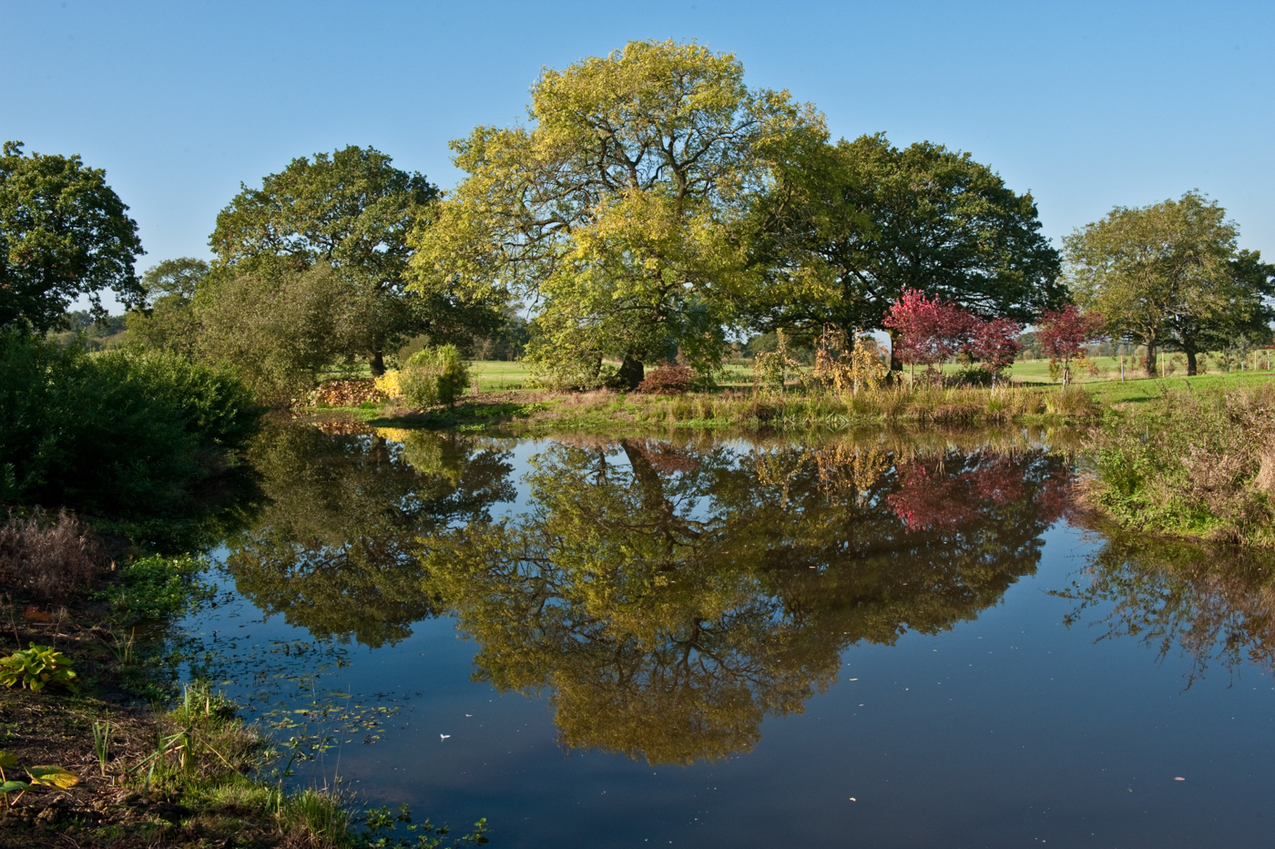 Landscapes - Cherry Tree Arboretum