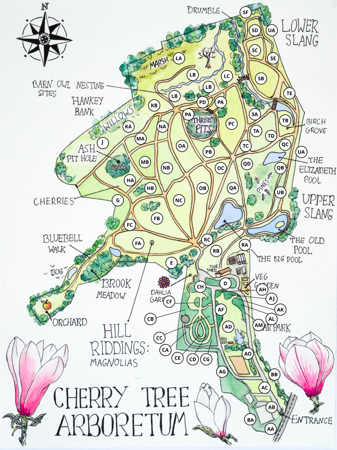 Champion Trees - Cherry Tree Arboretum