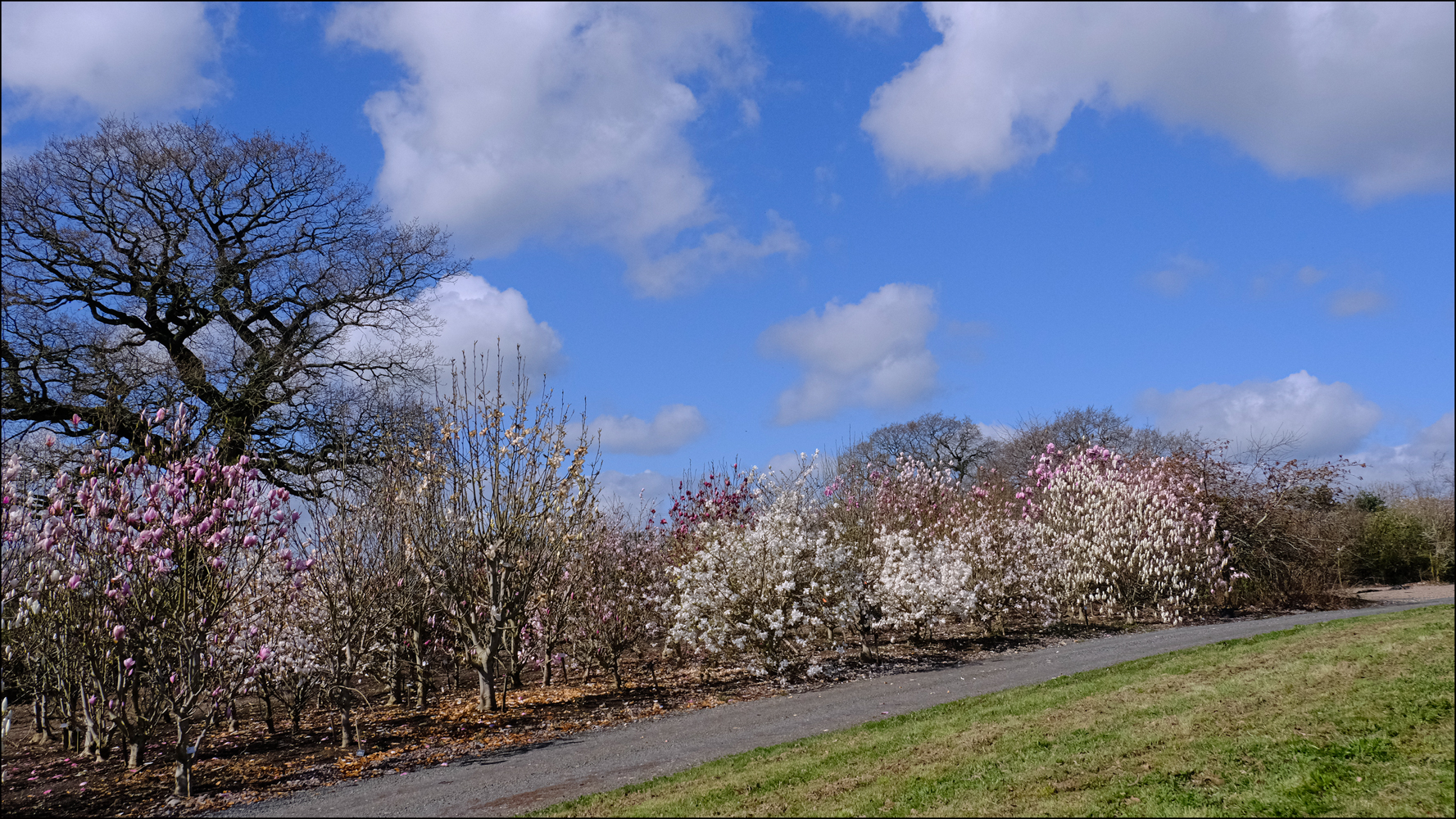 Easter 2024 at Cherry Tree - Cherry Tree Arboretum