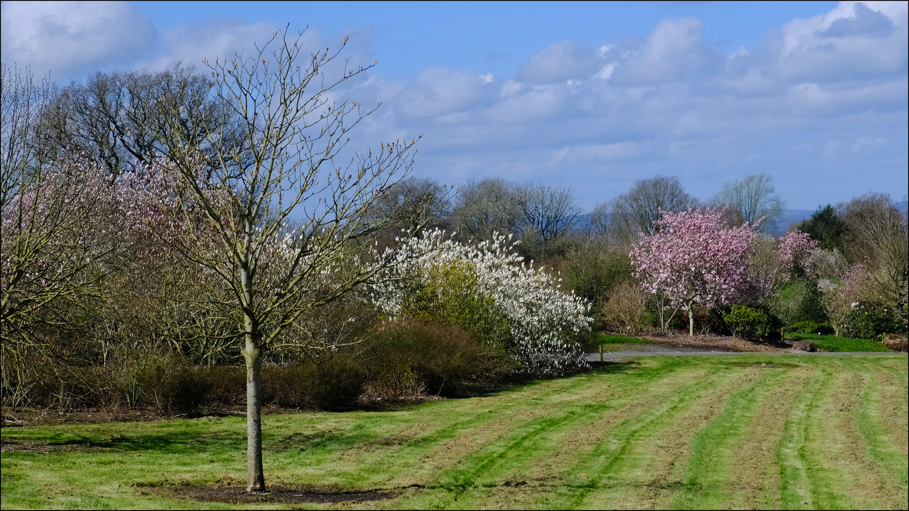 Easter 2024 at Cherry Tree - Cherry Tree Arboretum