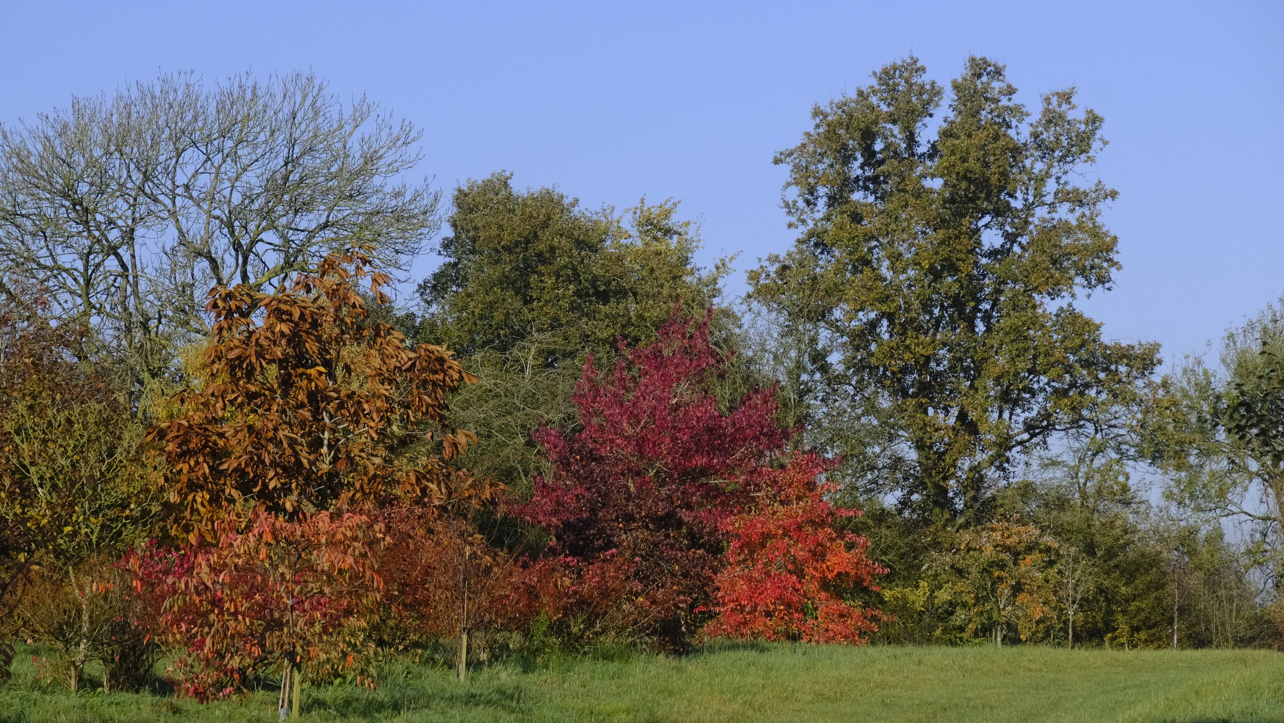 October Open Day 2024 - Cherry Tree Arboretum